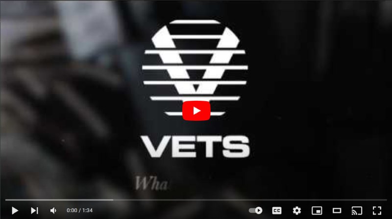 Ever wonder why we are called VETS? - VETS Group